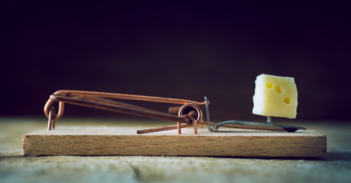 It’s Not About Building a Better Mousetrap – Roos Advisors